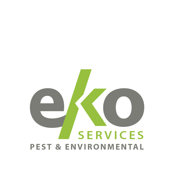 Eko Services – Pest Control in the Derby, Ashby, Swadlincote Area